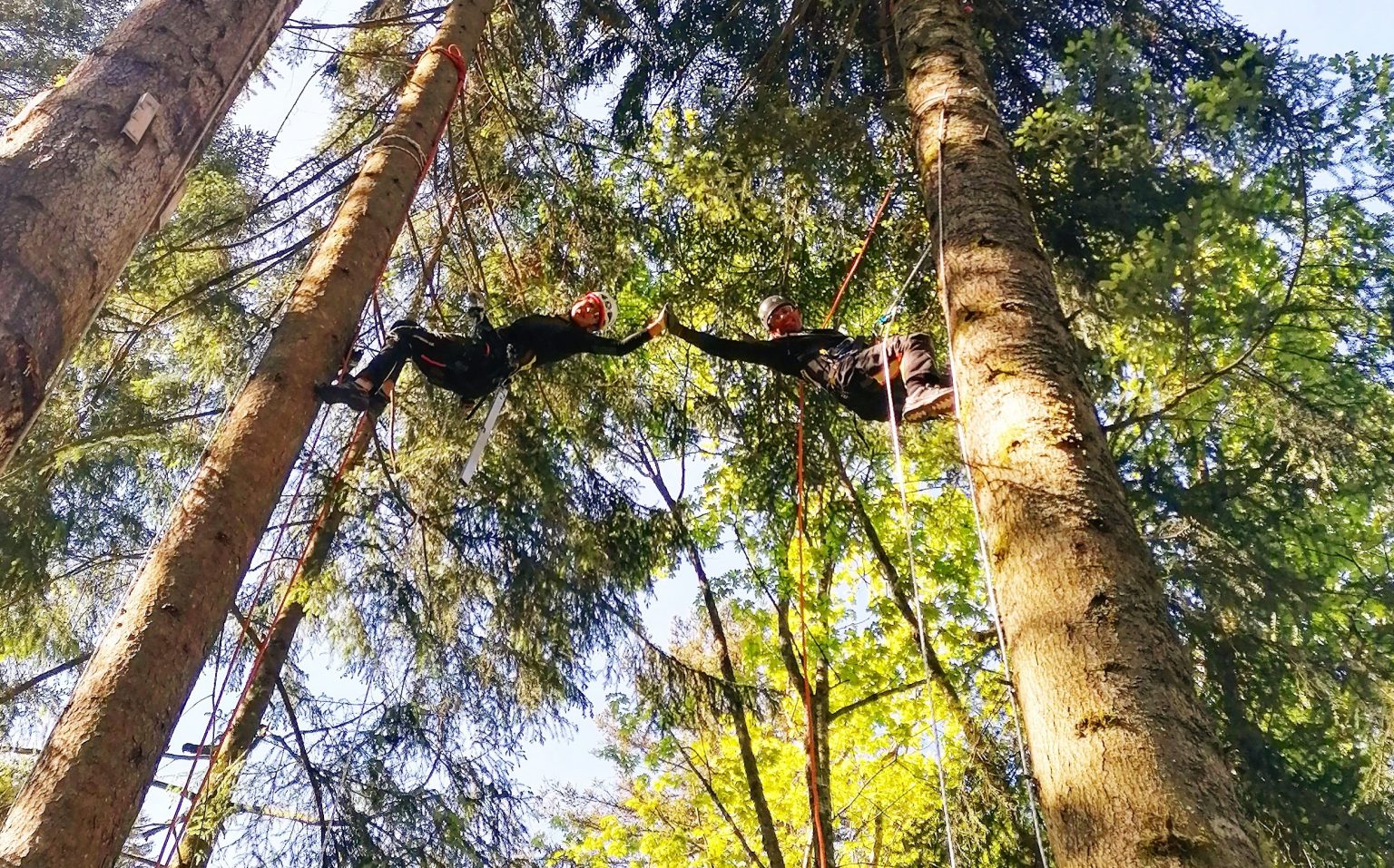 About Us - Flying Rhino