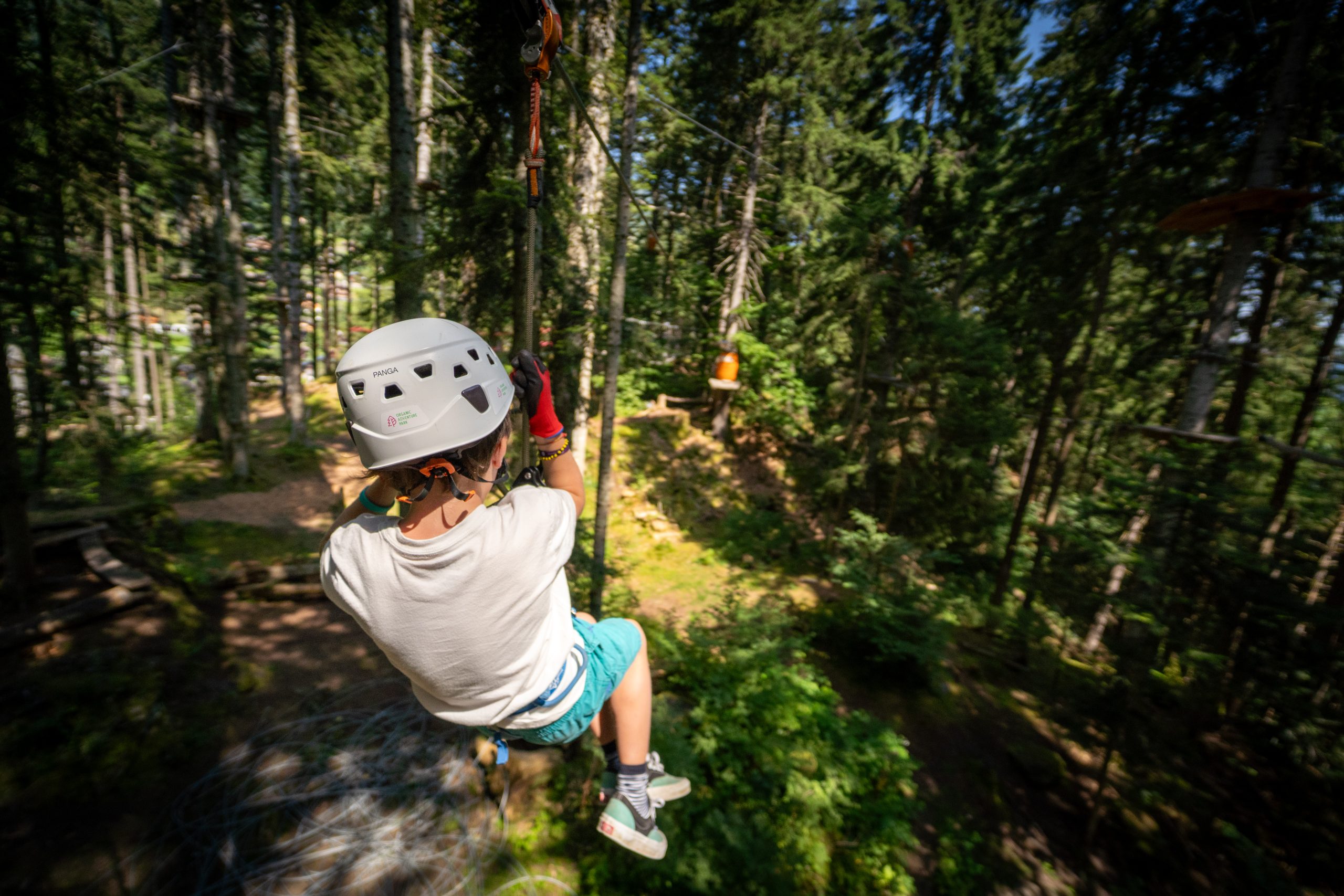 Zipline course in Organic Adventure Park, Switzerland - Flying Rhino